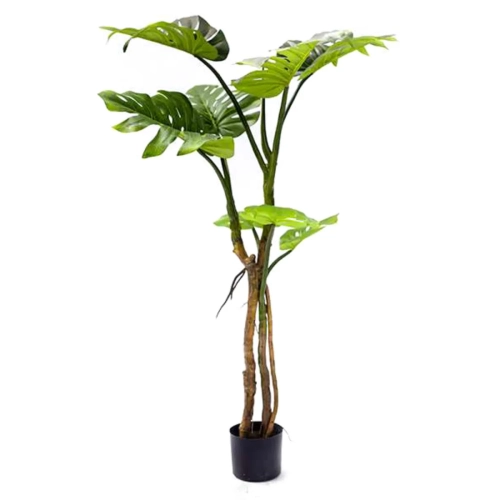 Monstera Sztuczna w Doniczce 160cm - ALPHA DAN Dekoracje